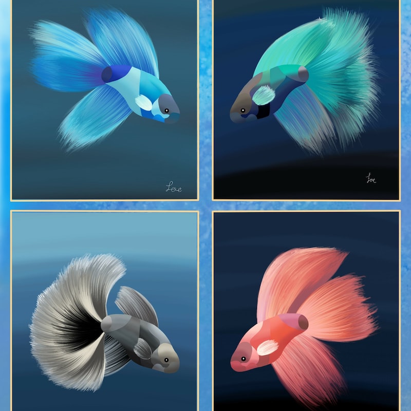 Betta Fish Art - Etsy