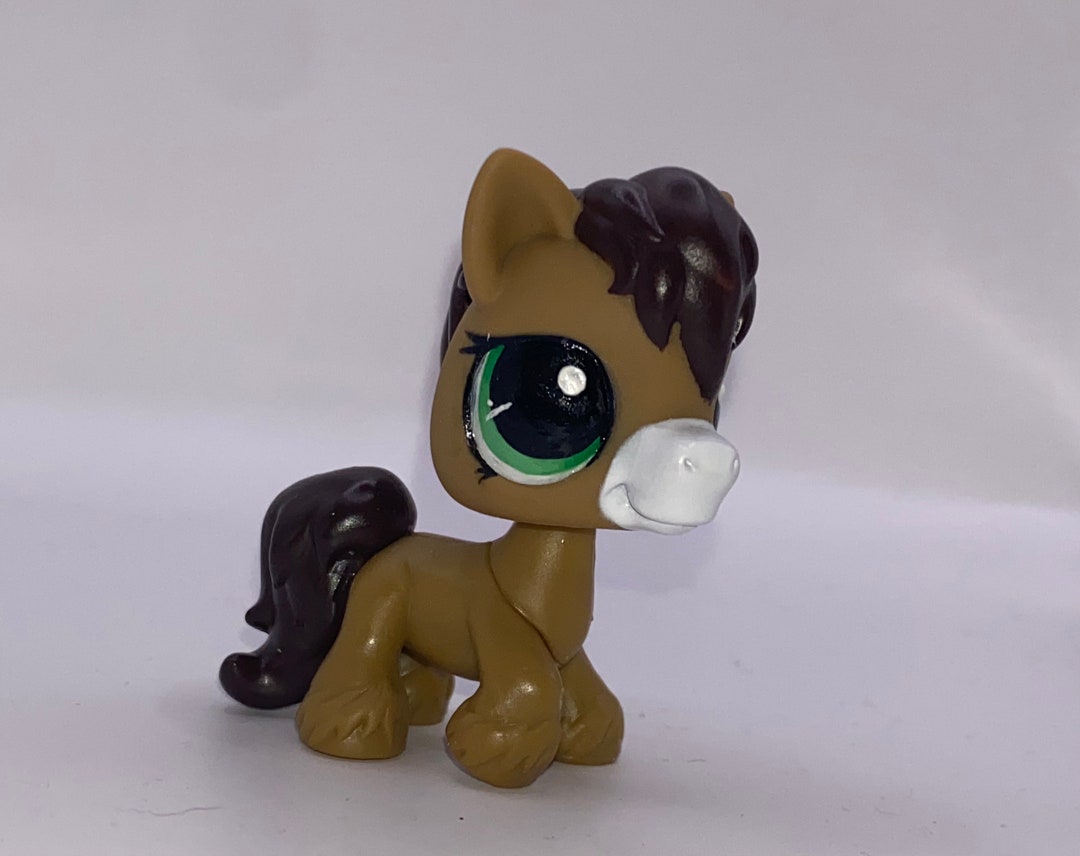 Littlest Pet Shop OOAK Lps Custom - Etsy