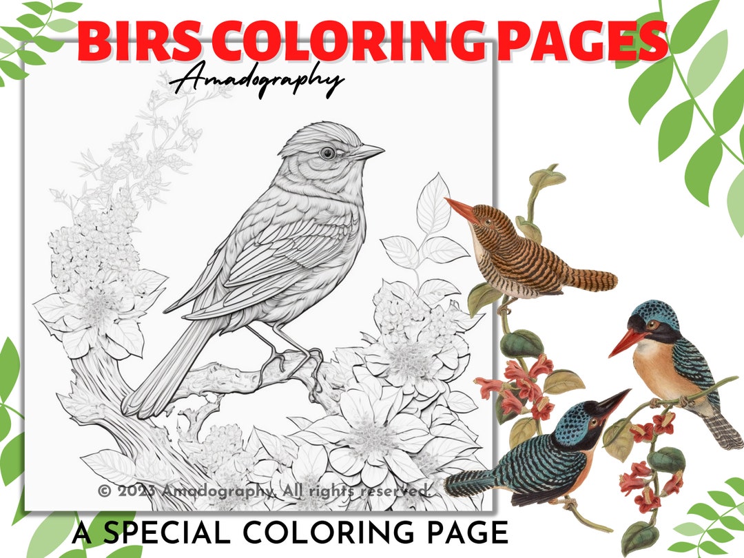 Pretty Bird Coloring Prints Art Coloring Page Printable Coloring Pages ...