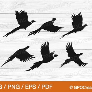 Pheasant SVG Bundle, Pheasant Hunting SVG, Pheasant SVG, Bird Hunting ...