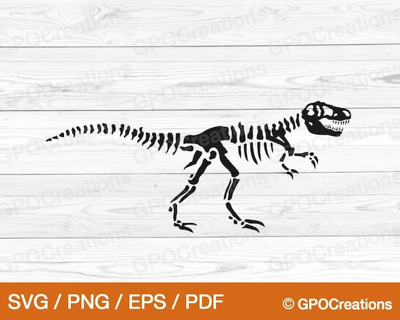 Dinosaur Bones Clipart