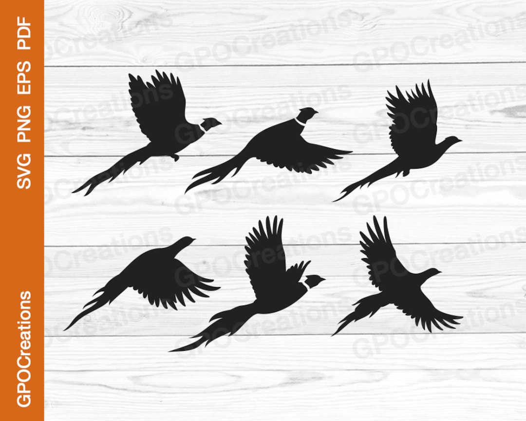 Pheasant SVG Bundle, Pheasant Hunting SVG, Pheasant SVG, Bird Hunting ...