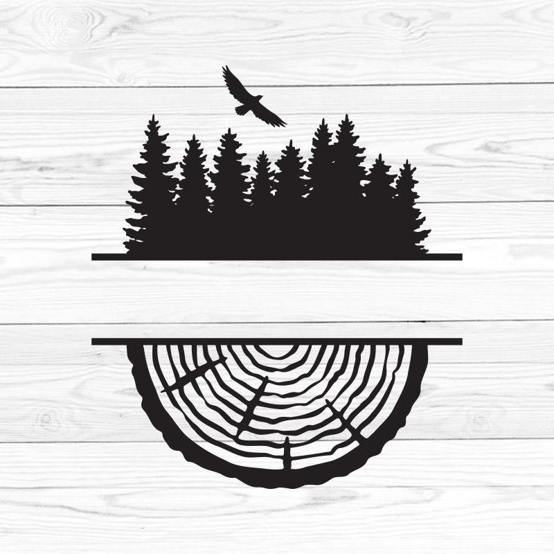 Tree Trunk Slices - Etsy