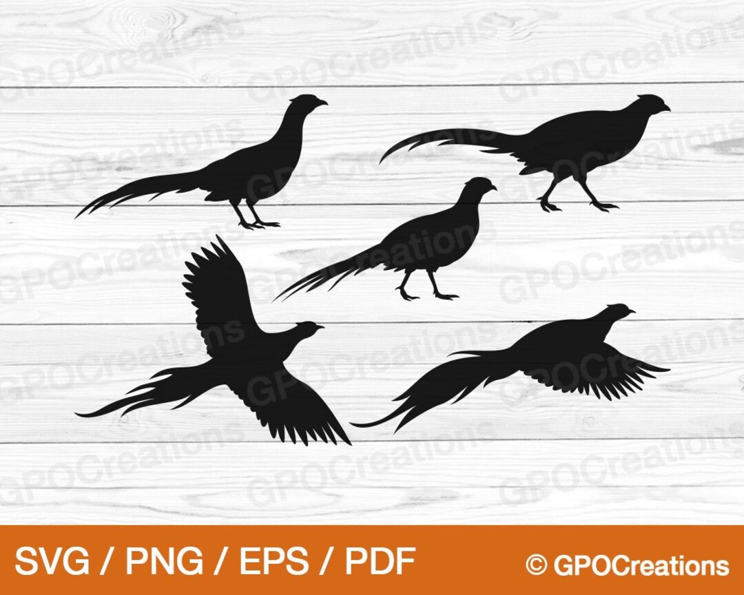 Pheasant SVG Bundle Pheasant Hunting SVG Pheasant SVG - Etsy