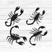 Scorpion SVG, Halloween Scorpion SVG, Scorpion Silhouette, Scorpion ...