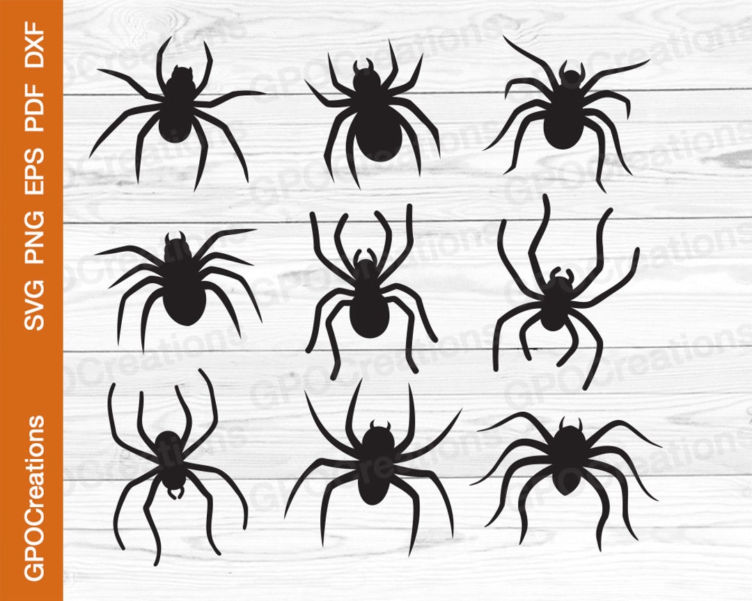 Spiders SVG Bundle, Halloween Spiders SVG, Spooky Spiders Cut File ...