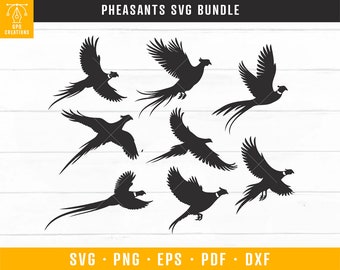 Flying Pheasant SVG Pheasant SVG, Pheasant Hunting SVG, Bird Hunting ...