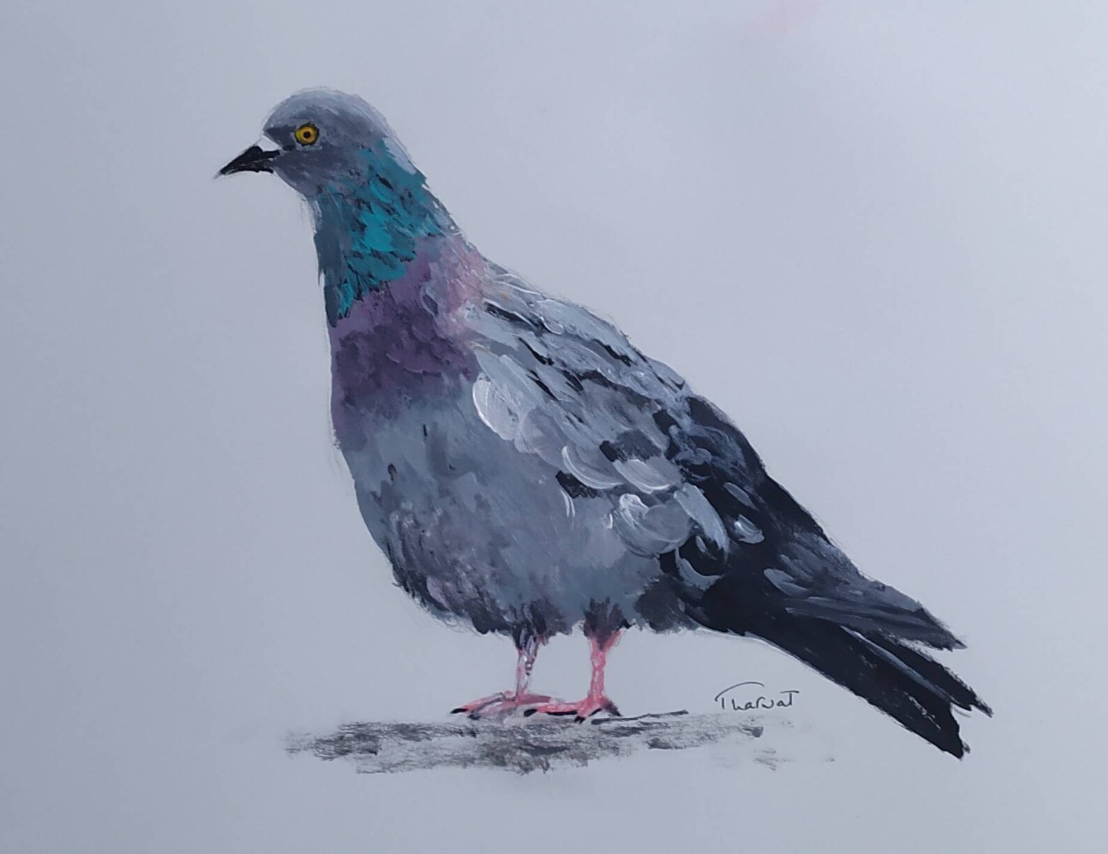 Original Acrylic painting Pigeon | Etsy