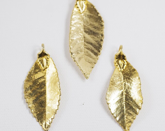 Moon Snail Shell Tanea Lineata 24k Gold Plated Trim Pendant Sea Pendant ...