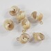 Moon Snail Shell Tanea Lineata 24k Gold Plated Trim Pendant Sea Pendant ...
