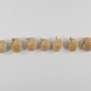 Moon Snail Shell Tanea Lineata 24k Gold Plated Trim Pendant Sea Pendant ...