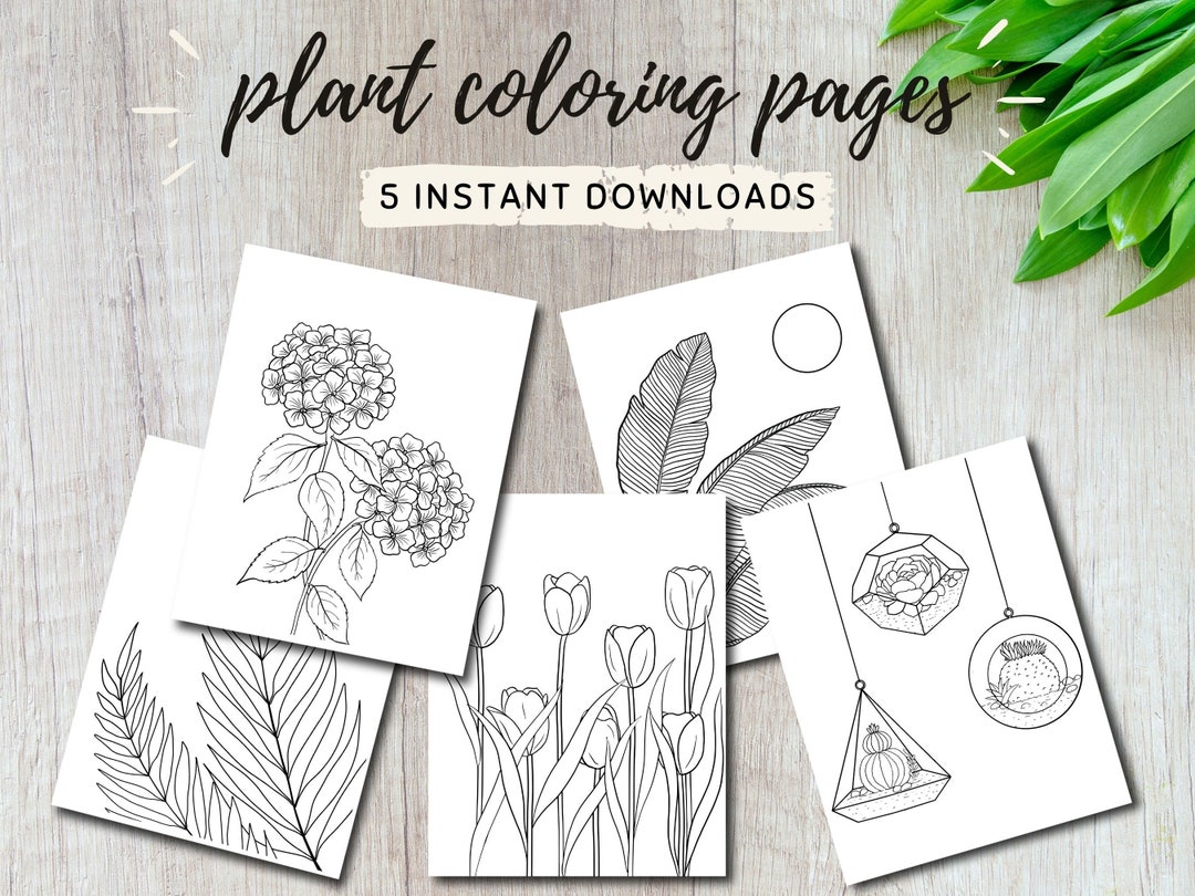 Plant Coloring Page | Coloring Pages for Kids and Adults | Plants and ...