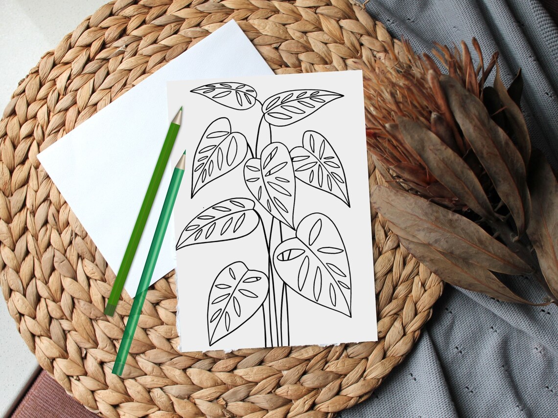 Plant Coloring Page Printable Coloring Sheets Plant - Etsy