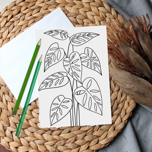 Plant Coloring Page | Printable Coloring Sheets | Plant Coloring Pages ...