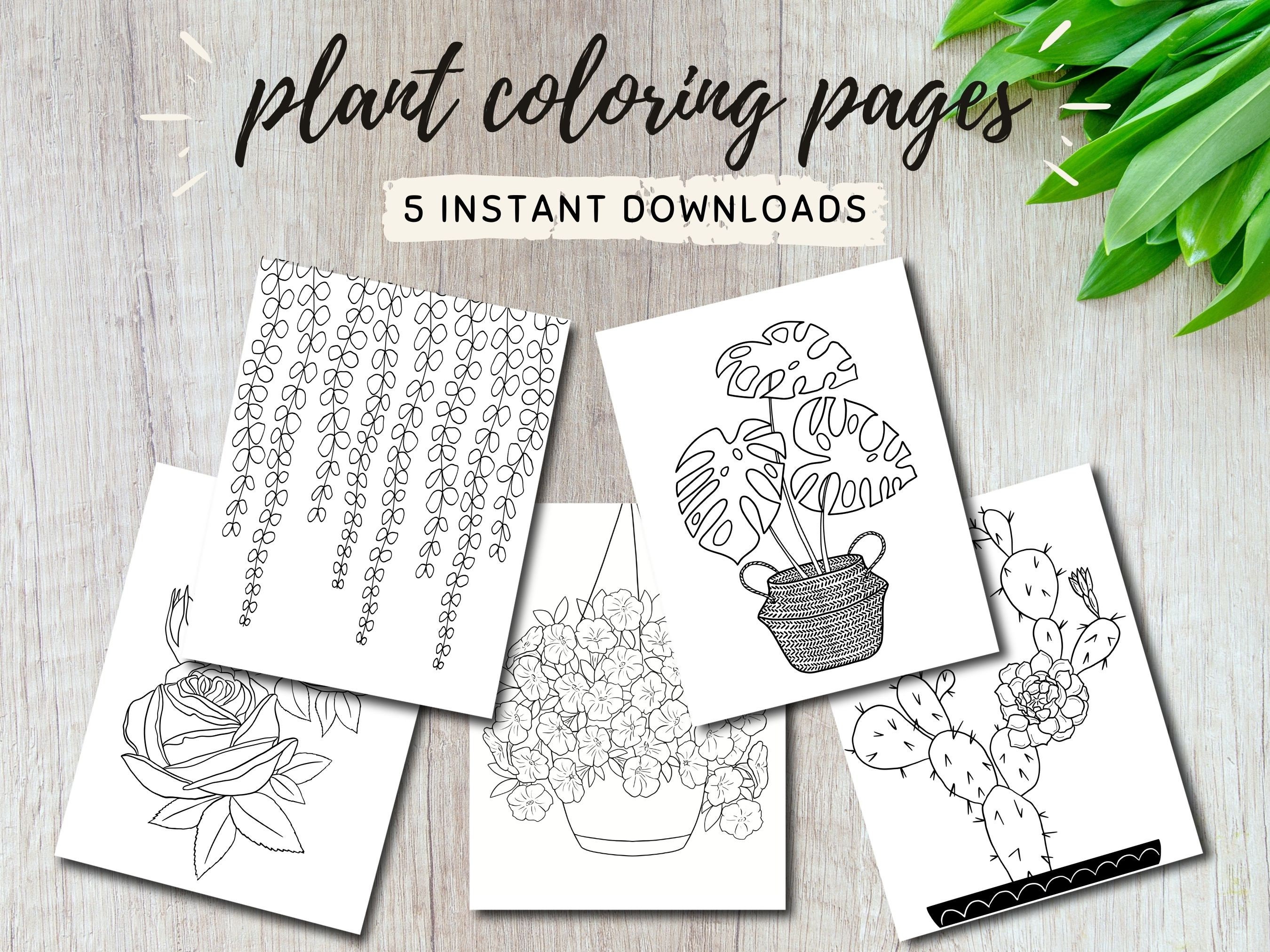 Plant Coloring Page | Coloring Pages for Kids and Adults | Plants and ...