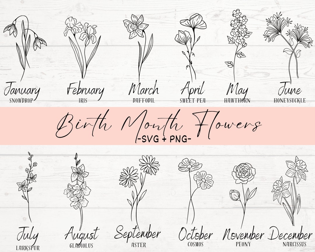 Birth Month Flower Bundle, Birth Month Flower Svg, Flower Svg, Floral ...