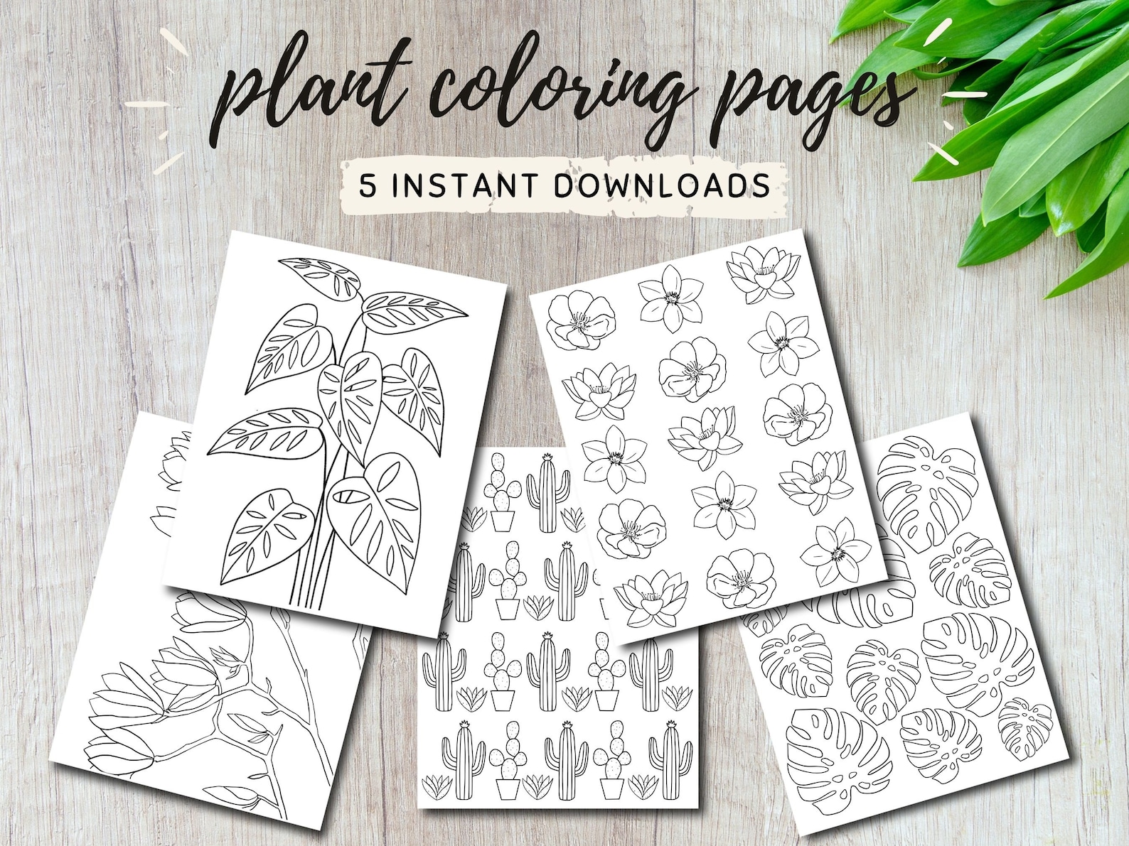 Plant Coloring Page Printable Coloring Sheets Plant - Etsy
