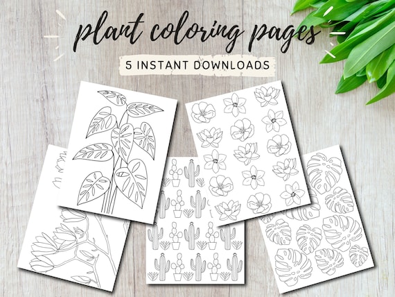 Plant Coloring Page Printable Coloring Sheets Plant | Etsy