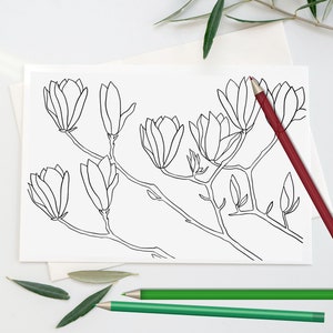 Plant Coloring Page | Printable Coloring Sheets | Plant Coloring Pages ...