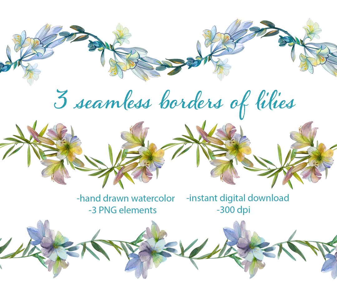 Lily Seamless Border PNG, Instant Digital Download, Hand Drawn ...