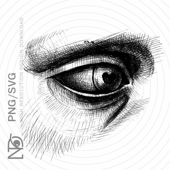 Eye SVG PNG Look Vision Png Human Eyeball Svg See Watching - Etsy