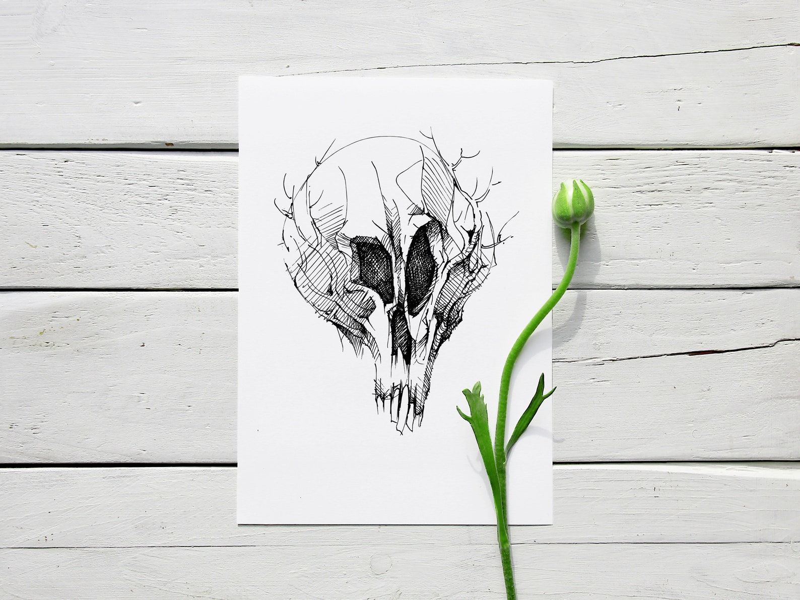 Skull Svg Mother Earth Skull Head SVG Skeleton Head Svg - Etsy