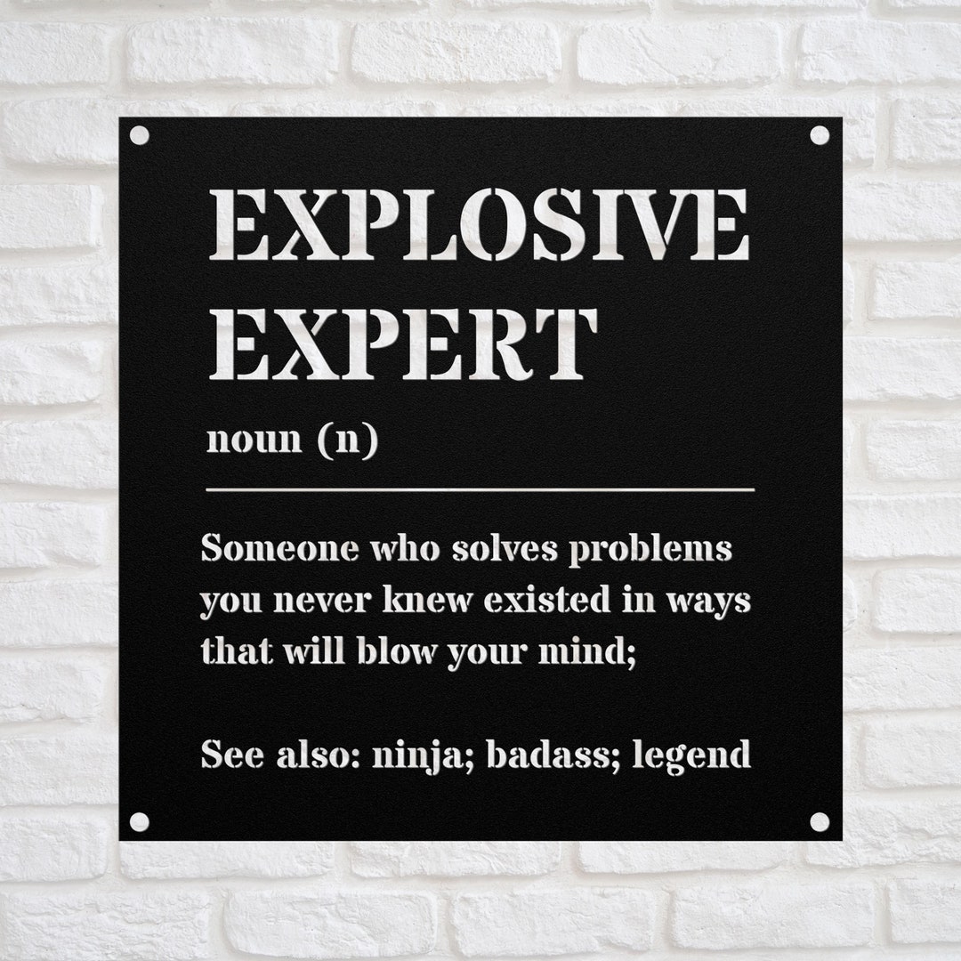 Funny Explosive Expert Gift Metal Sign for Men, for Christmas, Birthday ...