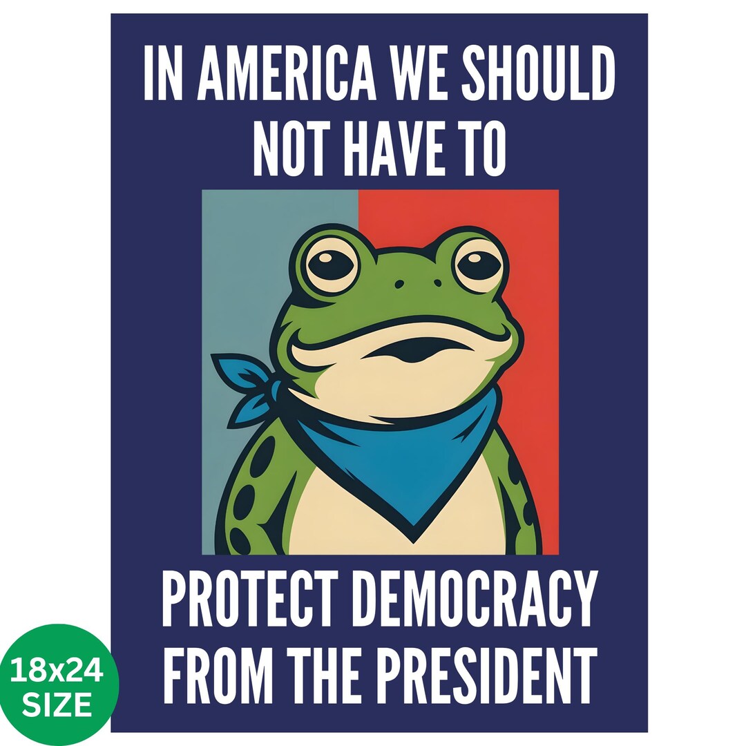 Protect Democracy Protest Poster Sign Anti-trump Resist No Kings ...