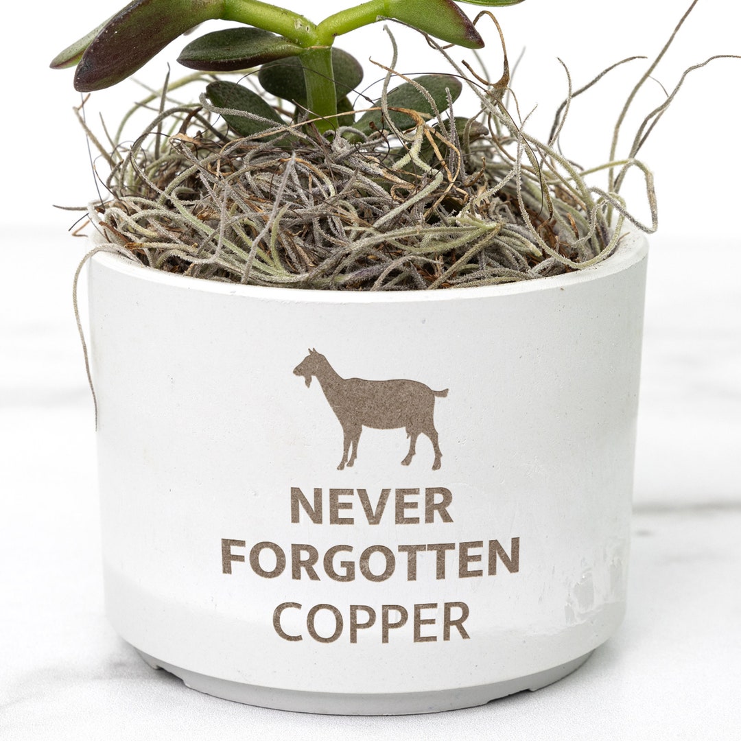 Goat Memorial Planter, Goat Memorial, Loss of Goat Gift, Personalized ...