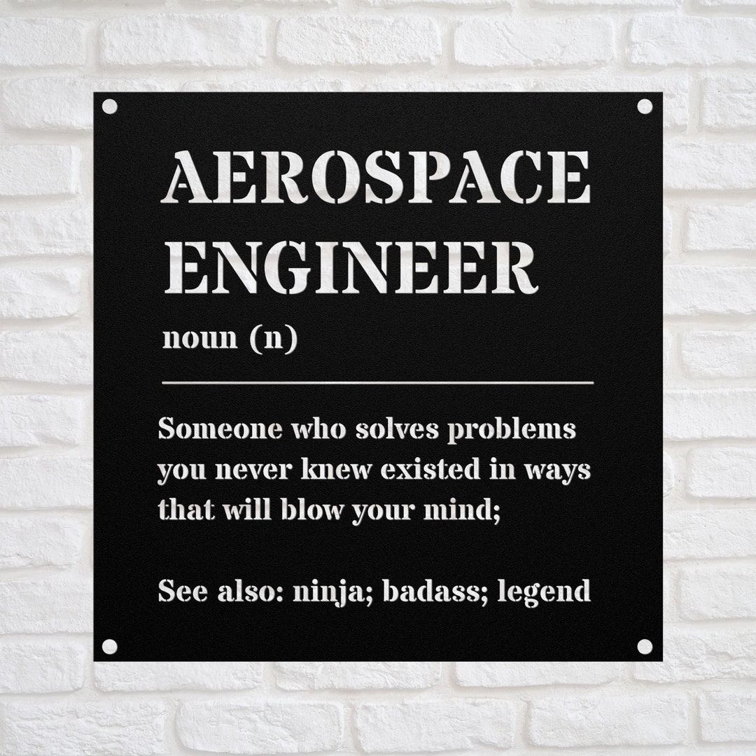 Funny Aerospace Engineer Gift Metal Sign L Personalized for Men & Women ...