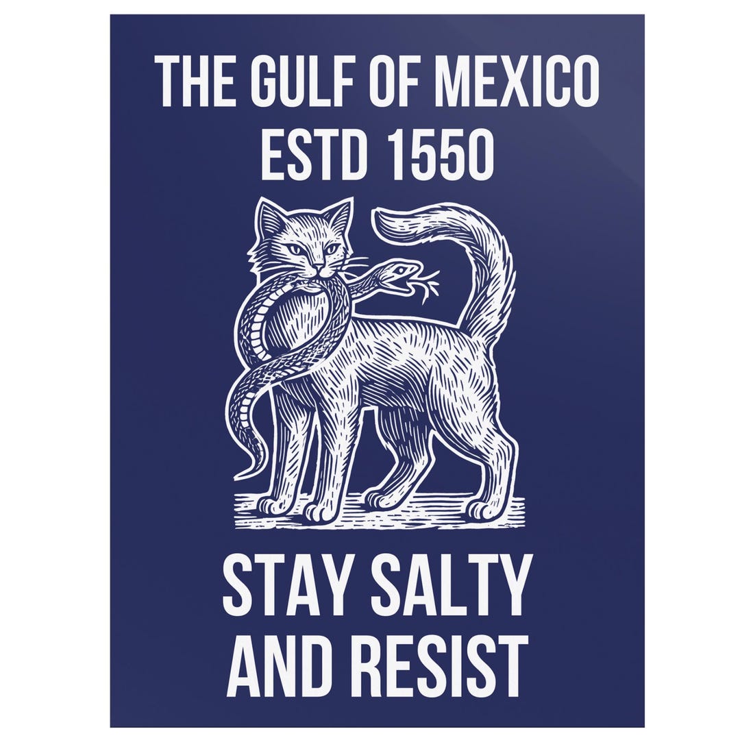 Gulf of Mexico Stay Salty Resistance Poster Protest March Sign, Resist ...