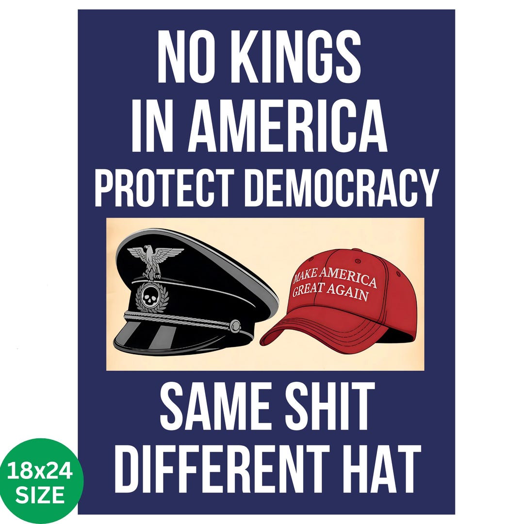Protect Democracy Sign, No Kings in America Anti-trump Poster, Freedom ...