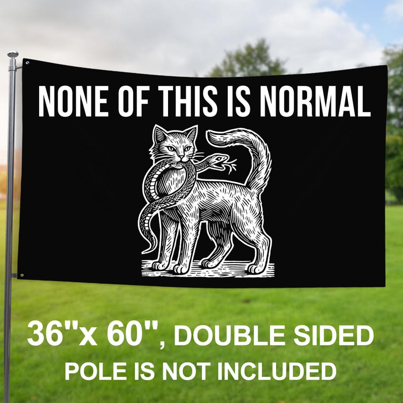 Abolish Ice None of This is Normal Flag Ice Out Anti Trump Large Flag ...