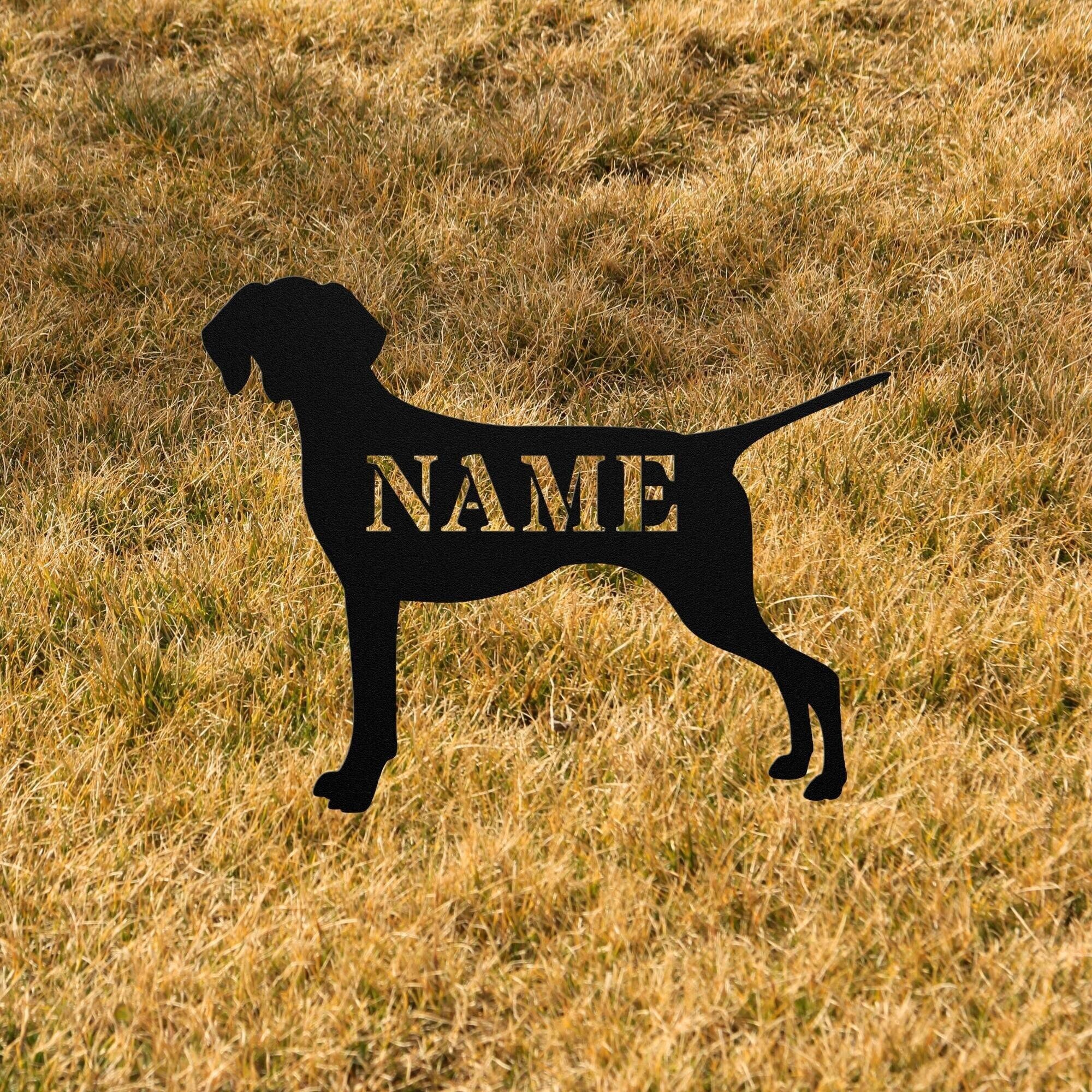 English Pointer Pointing