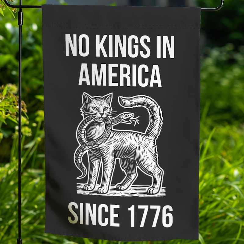 No Kings Protest Signs - Etsy