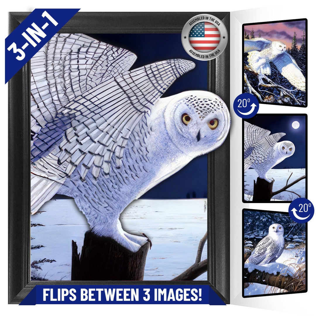 White Barn Owl 3D Poster Wall Art Decor Framed Print 14.5x18.5 Posters ...