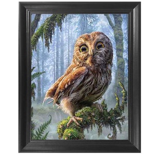 Cute Baby Owl Nursery Animal 3D Poster Wall Art Decor Framed - Etsy