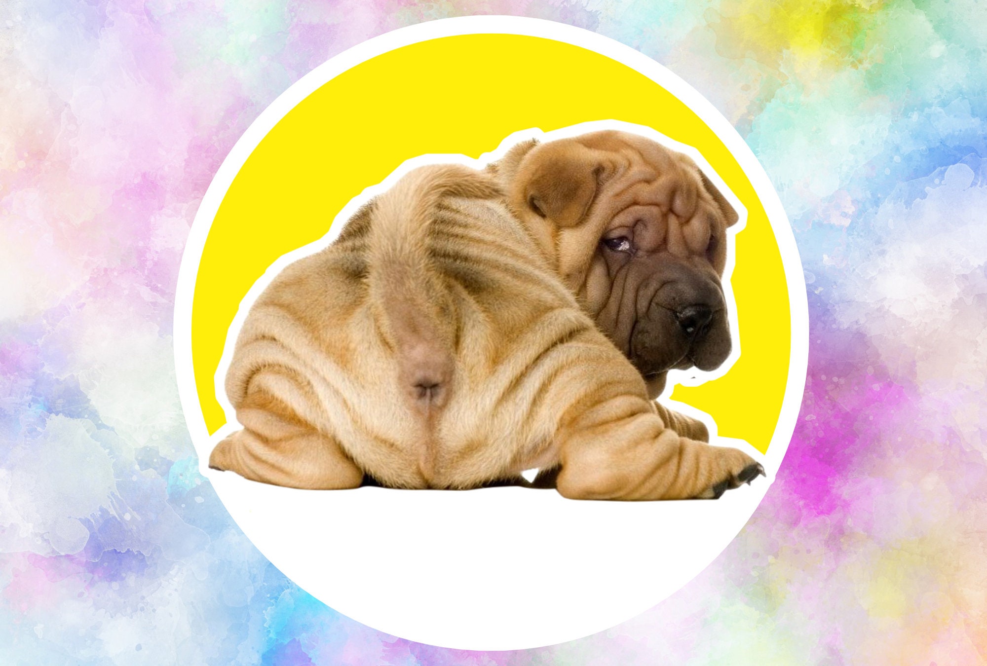 Funny Pooping Dogs Digital Stickers Funny Printable Planner - Etsy