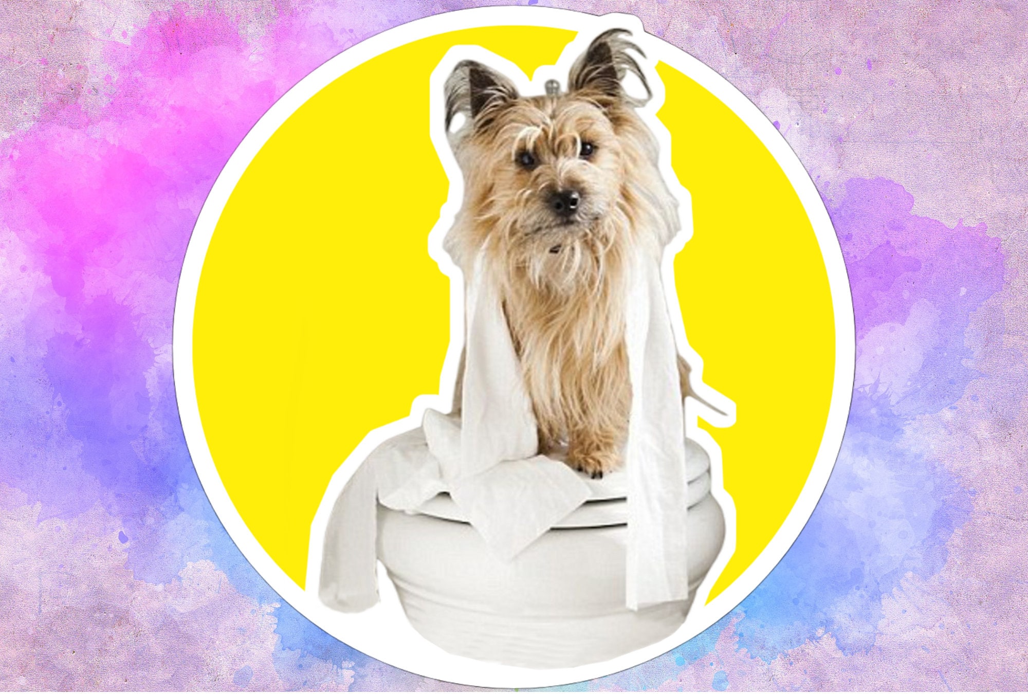 Funny Pooping Dogs Digital Stickers Funny Printable Planner - Etsy