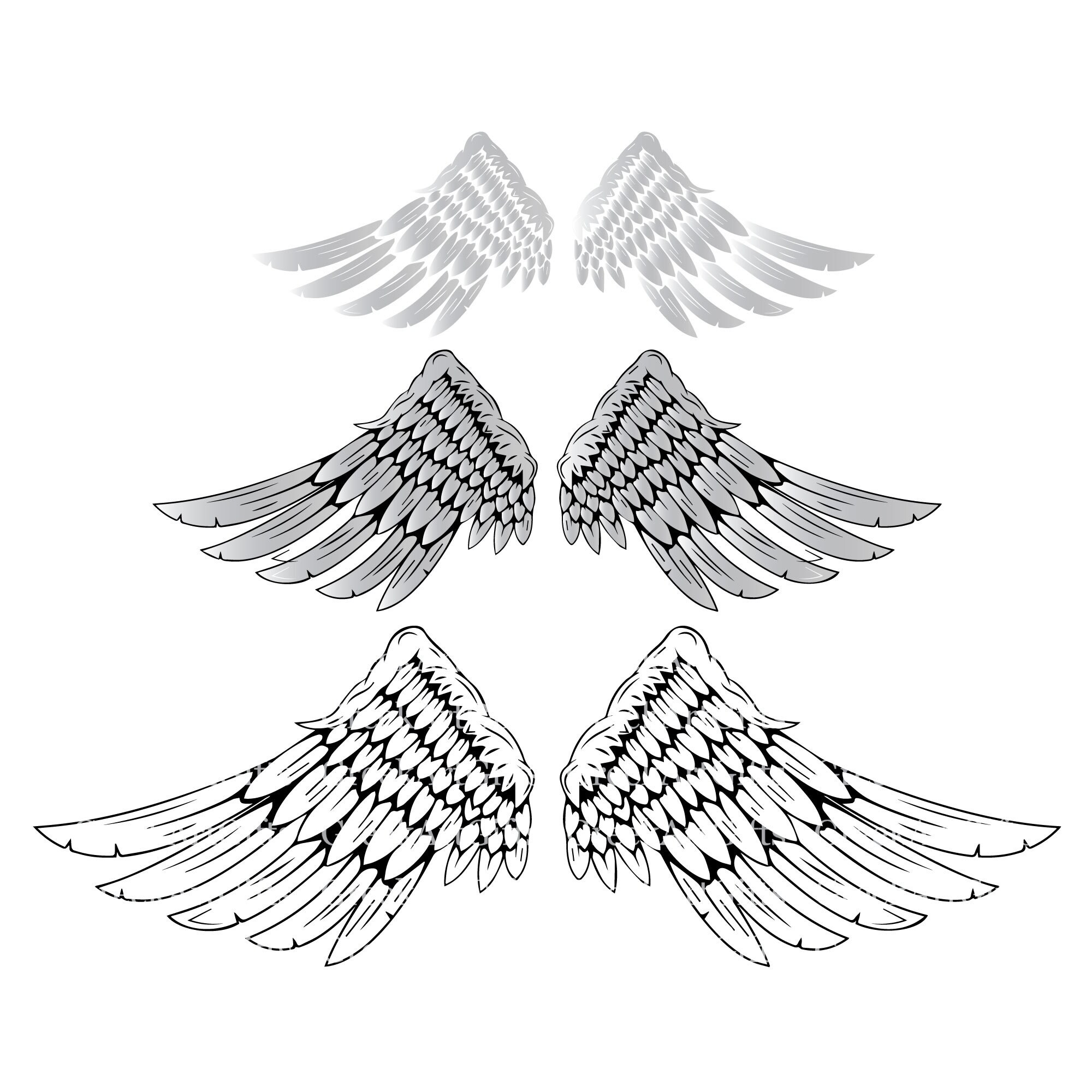 Angel Wing Designs Vector