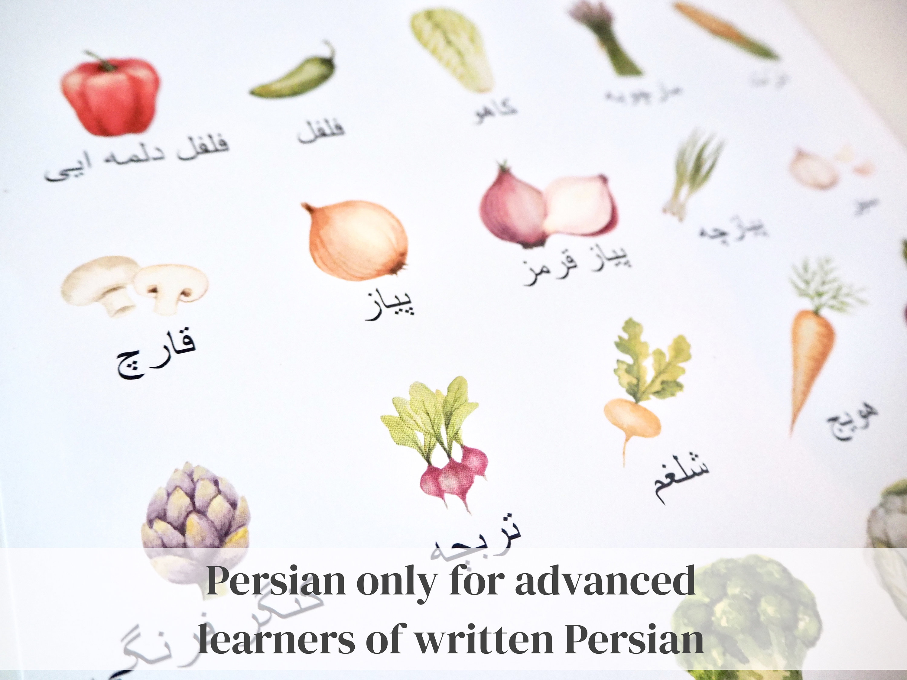 Persian / Farsi Vegetable Learning Set - Etsy