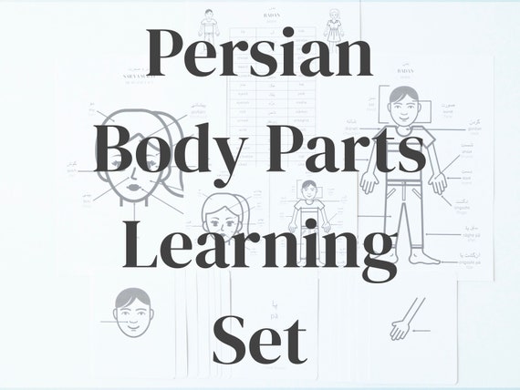 Persian / Farsi Body Parts Learning Set | Etsy