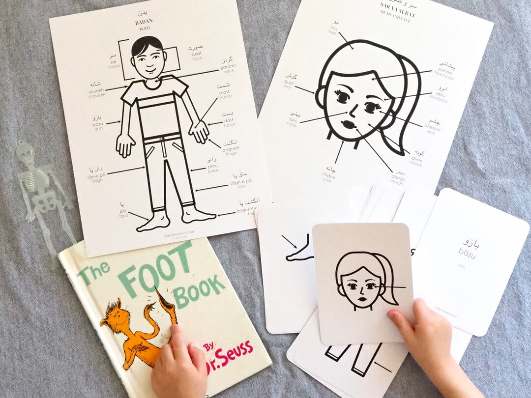 Persian / Farsi Body Parts Learning Set - Etsy