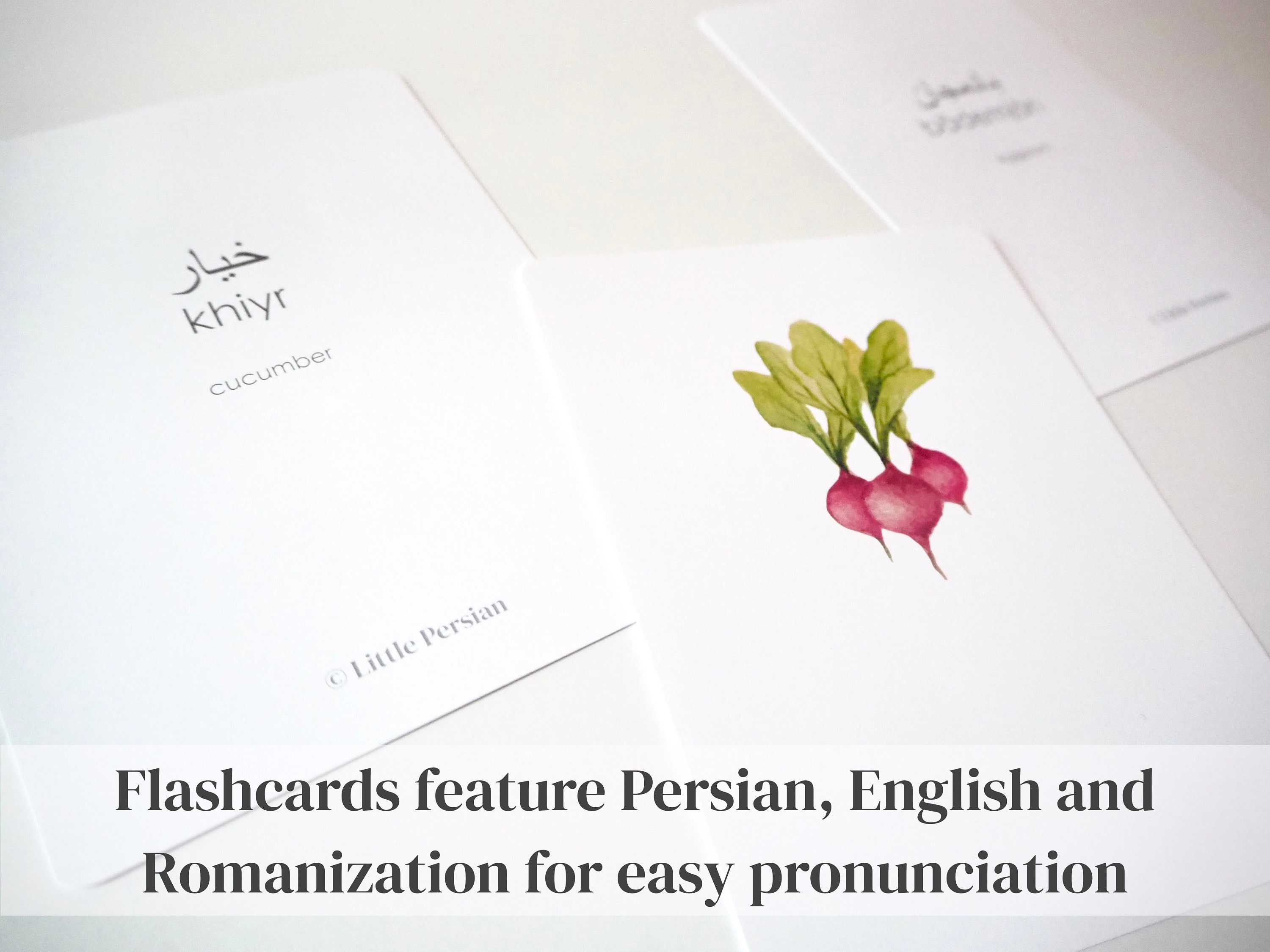 Persian / Farsi Vegetable Learning Set - Etsy