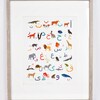 Illustrated Persian Alphabet Poster | Learn Farsi Alphabet for Kids ...