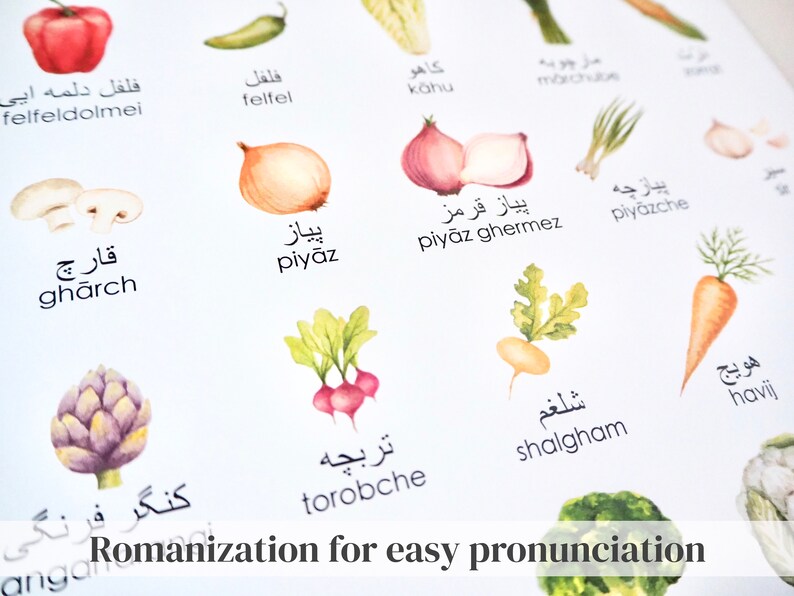 Persian / Farsi Vegetable Learning Set - Etsy