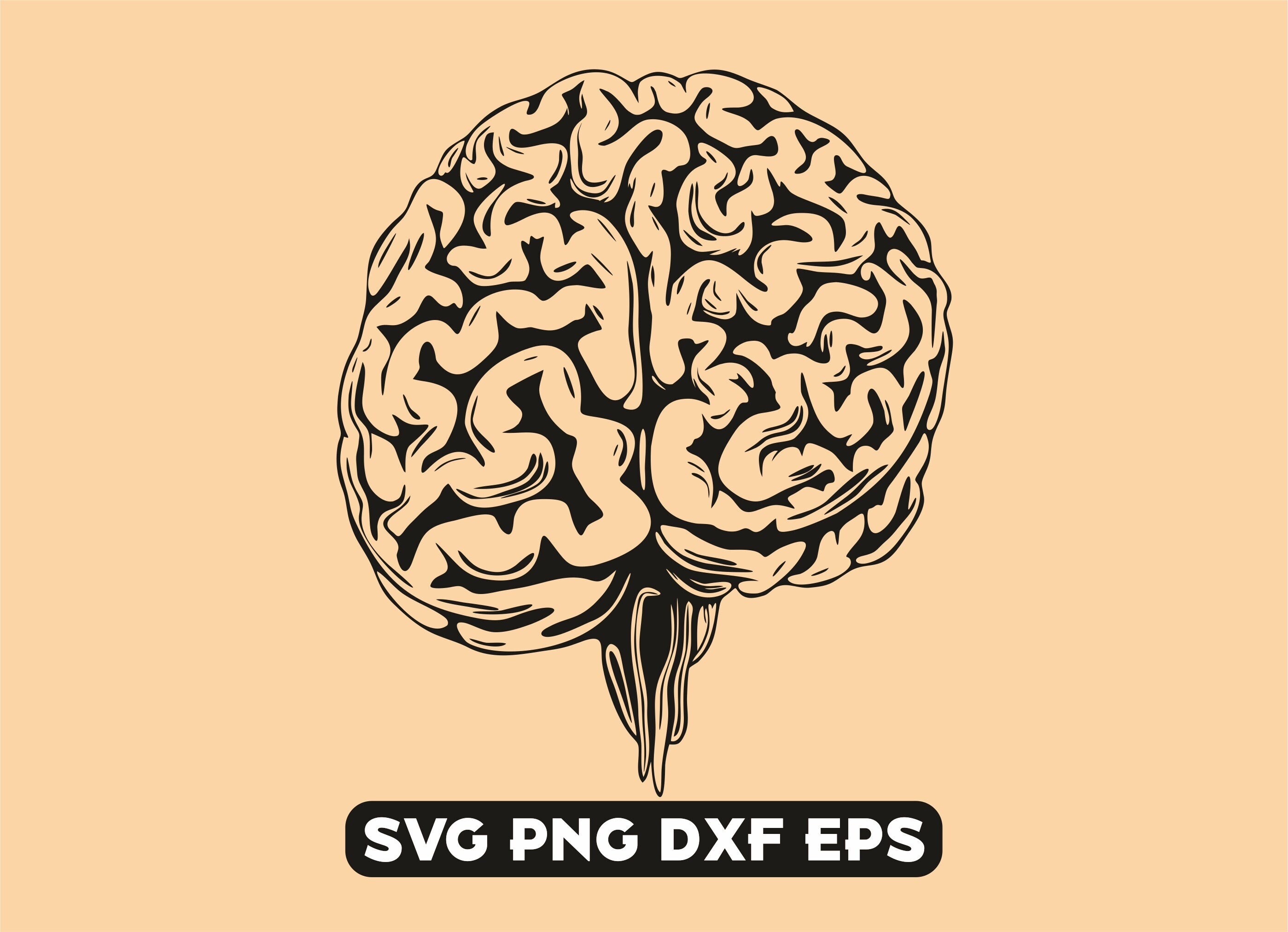 Cerebro humano svg silueta cerebral imágenes prediseñadas de - Etsy México