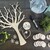 Family Tree Kit, Large Family Tree, Rustic, DIY Craft, Create Your Own ...