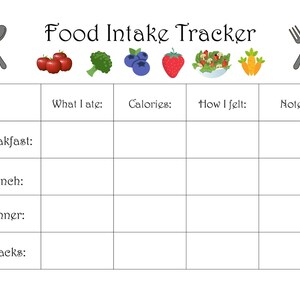 Printable Food Intake Tracker/food Intake Log - Etsy