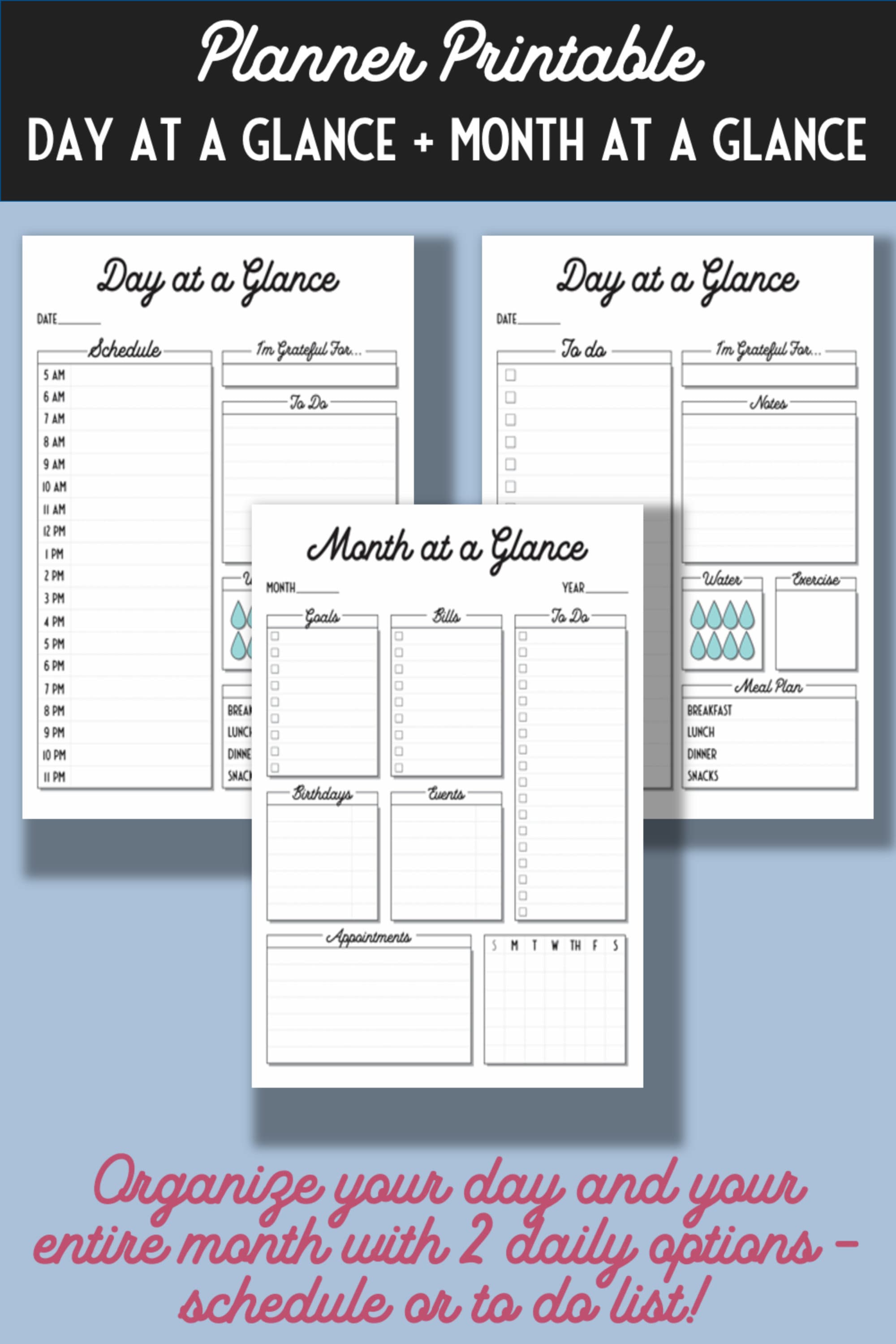 Month at A Glance + Day at A Glance Printable Planner Pages, Daily ...